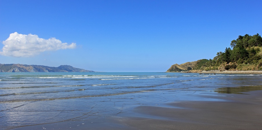 Road Trips for Beach Lovers - VroomVroomVroom