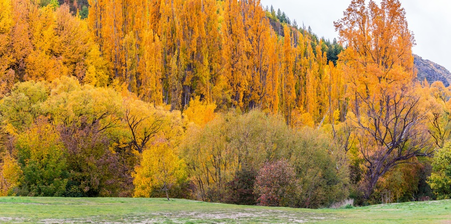 5 Best Places to Visit for Autumn Colours - VroomVroomVroom
